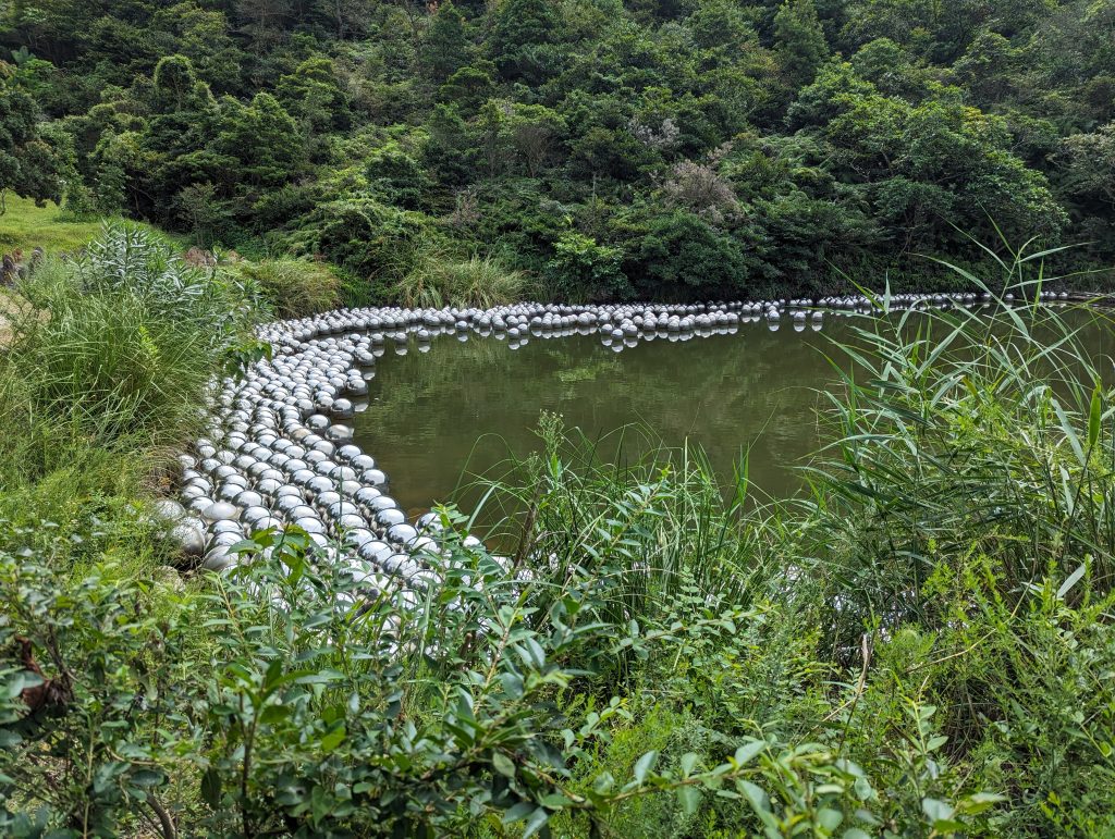Narcissus Garden Has More Balls Than Me – GARY, etc.
